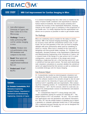 Caso práctico: Mejora de la bobina de RM para la obtención de imágenes ...